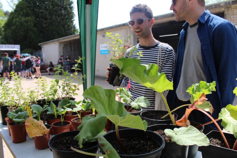 Spring has Sprung: Spring Fayre 2024 - Canterbury College