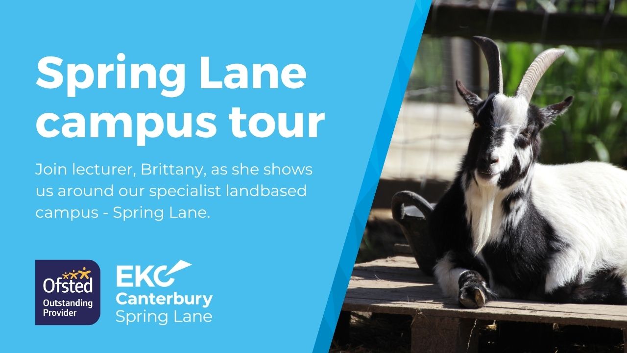 Spring Lane Campus - Canterbury College
